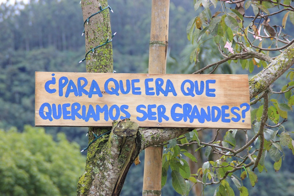 Waarom de Mars Rover Curiosity in 2012 de wereld verbijsterde 🚀 ...